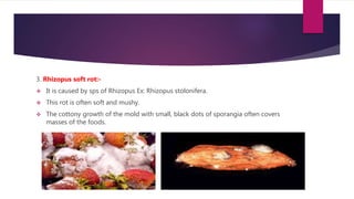 Spoilage of fruits and vegetables | PPTX