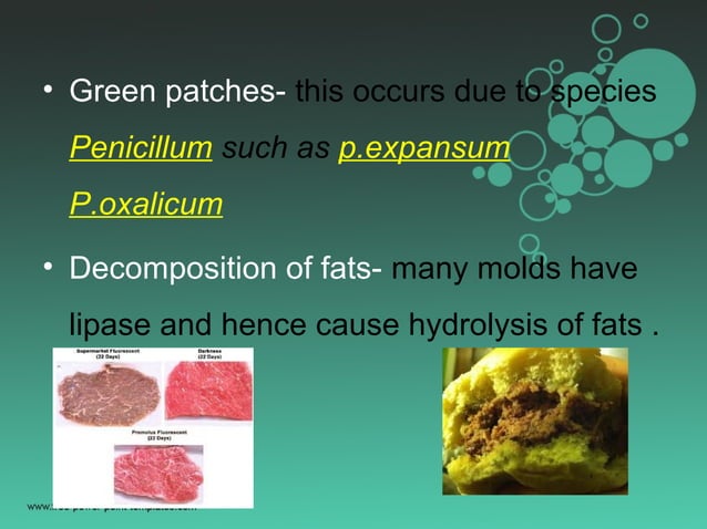 Spoilage of meat | PPT
