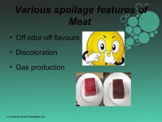 Spoilage of meat | PPT
