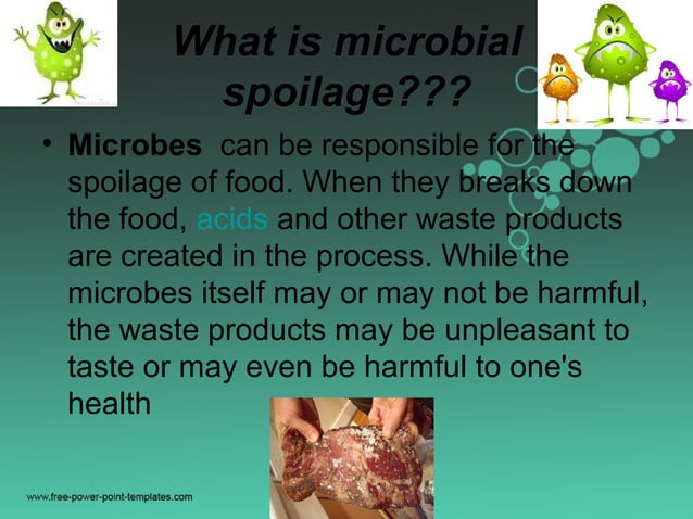 Spoilage of meat | PPT