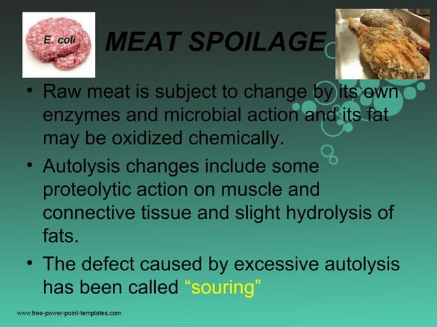 Spoilage of meat | PPT