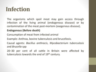 Spoilage of meat | PPTX