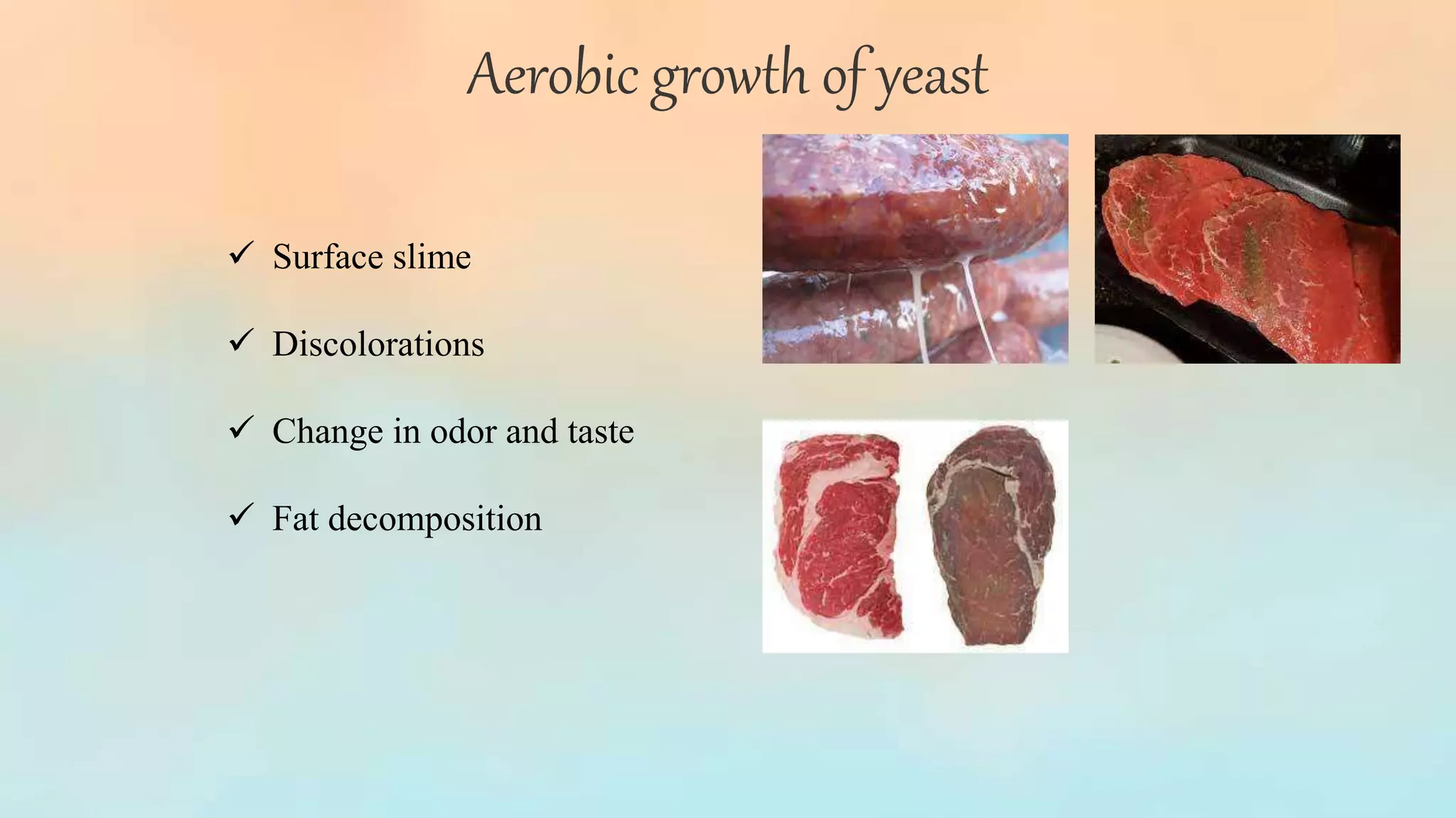 Spoilage of Meat and Meat products | PPTX