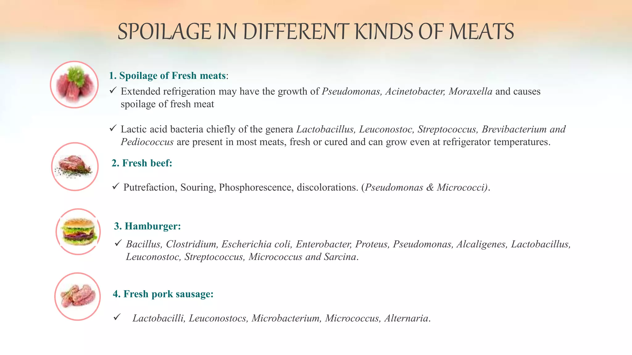 Spoilage of Meat and Meat products | PPTX