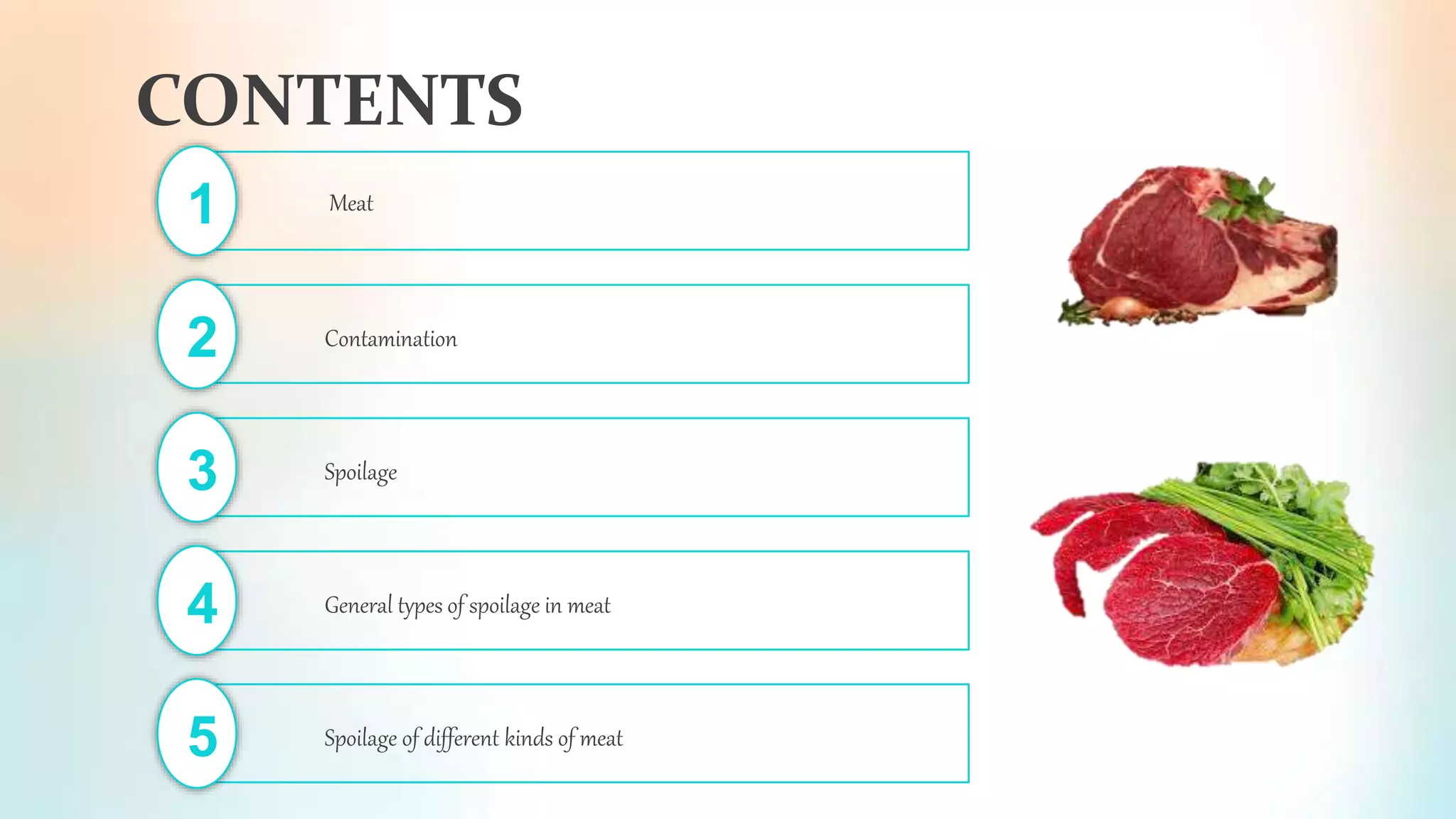 Spoilage of Meat and Meat products | PPTX