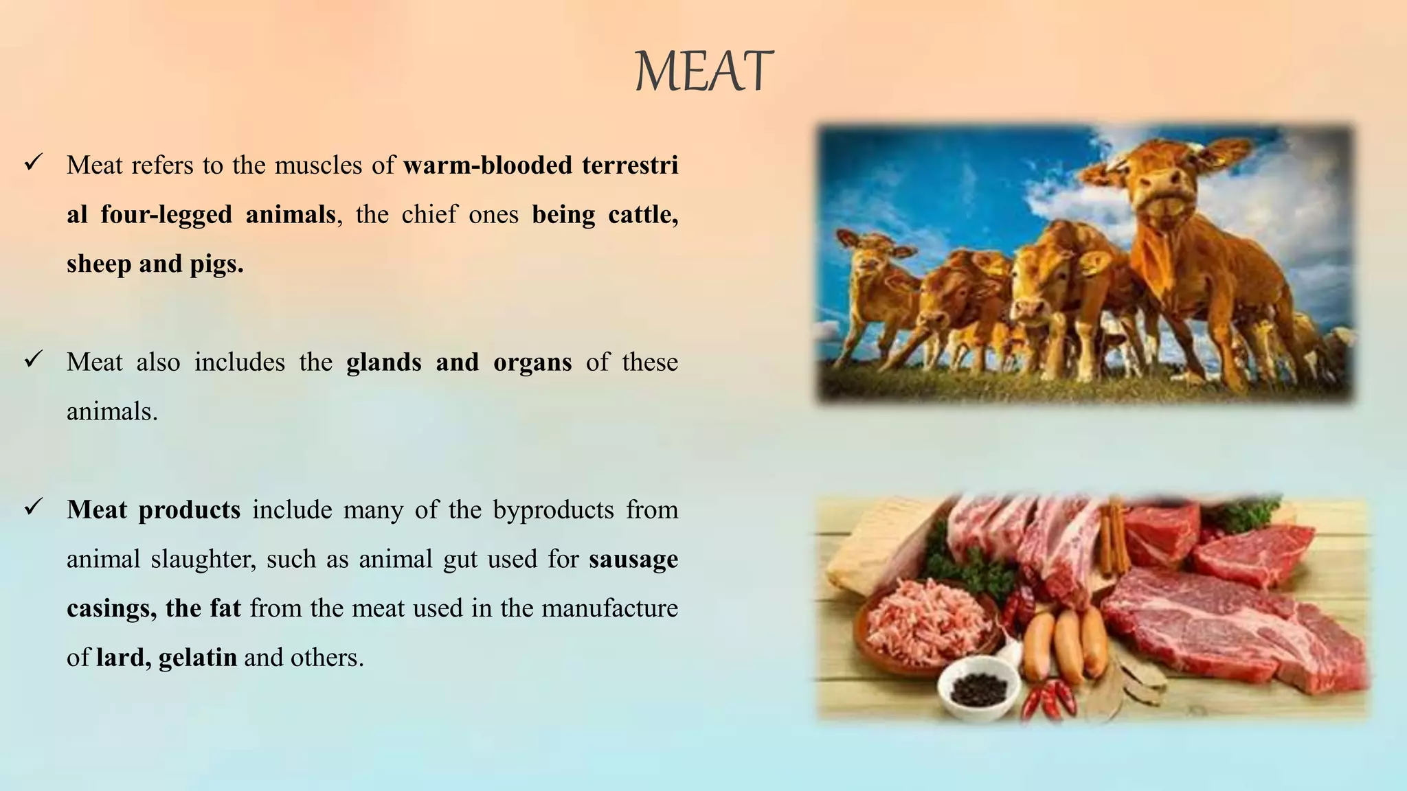 Spoilage of Meat and Meat products | PPTX