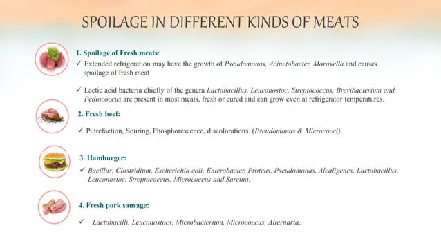 Spoilage of Meat and Meat products | PPTX | Vegetarian Diets | Food & Drink