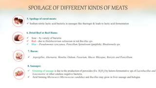 Spoilage of Meat and Meat products | PPTX