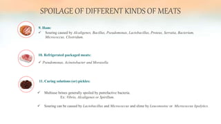 Spoilage of Meat and Meat products | PPTX