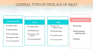 Spoilage of Meat and Meat products | PPTX