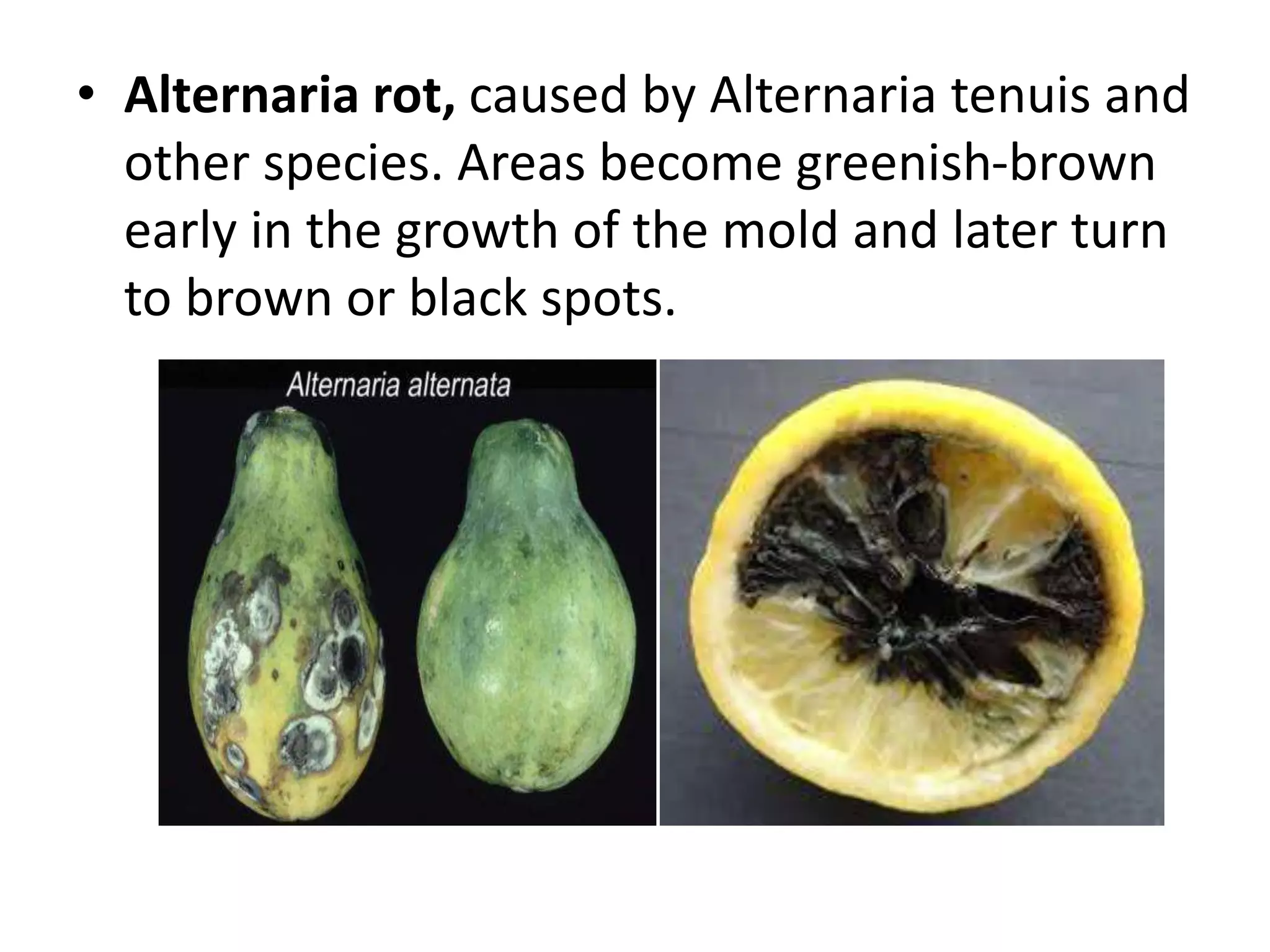 Microbial Spoilage of vegetable and fruits | PPTX