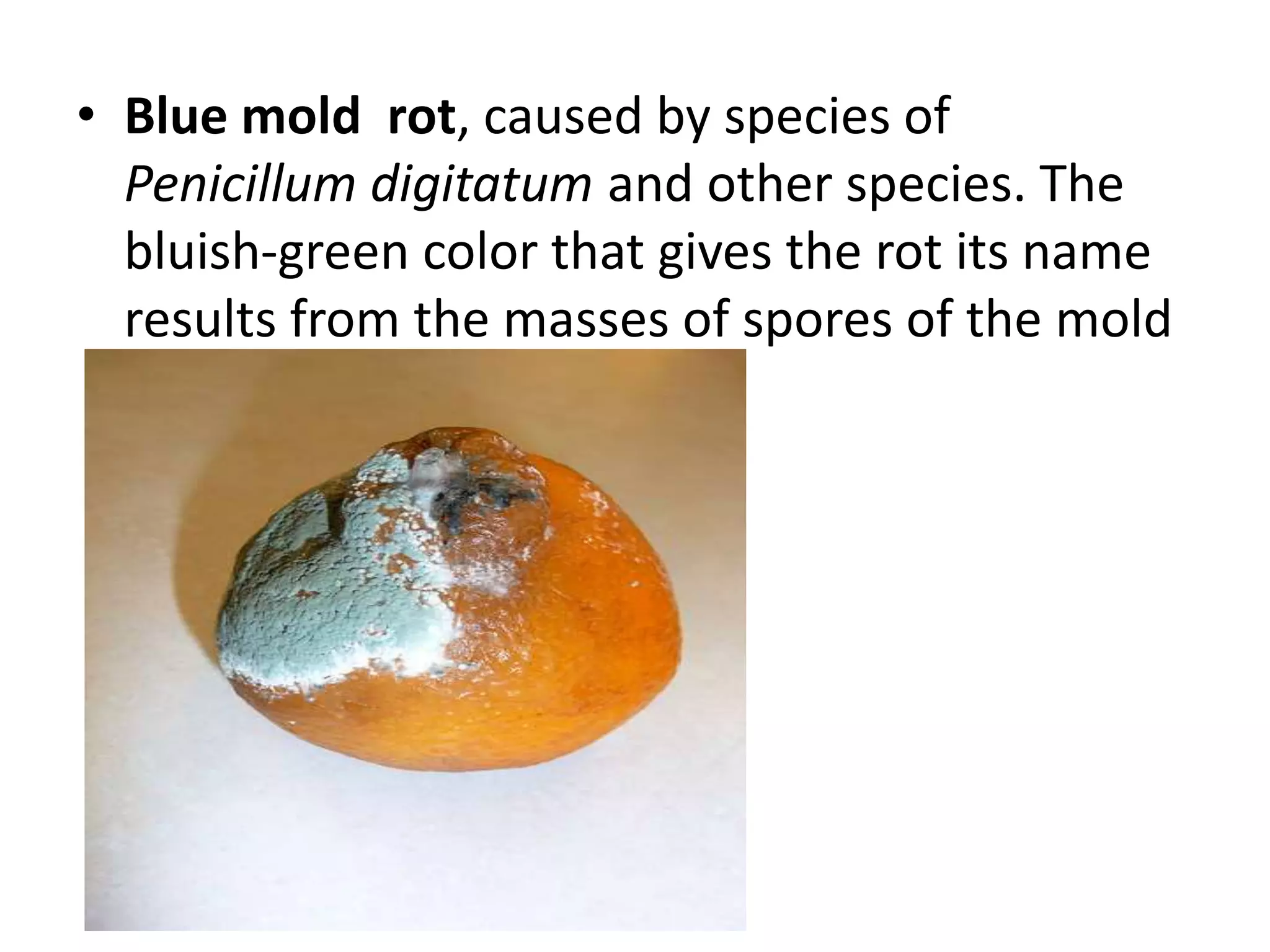 Microbial Spoilage of vegetable and fruits | PPTX