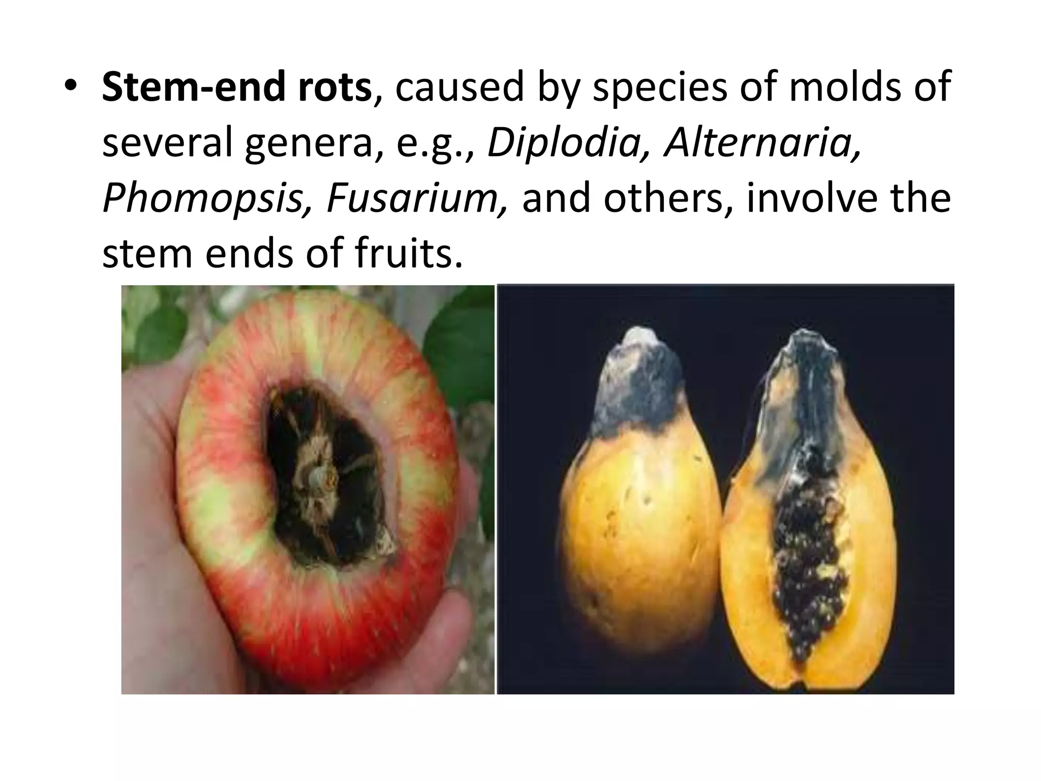 Microbial Spoilage of vegetable and fruits | PPTX