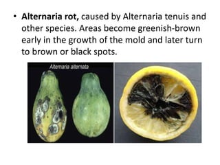 Microbial Spoilage of vegetable and fruits | PPTX
