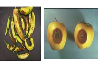 Microbial Spoilage of vegetable and fruits | PPTX