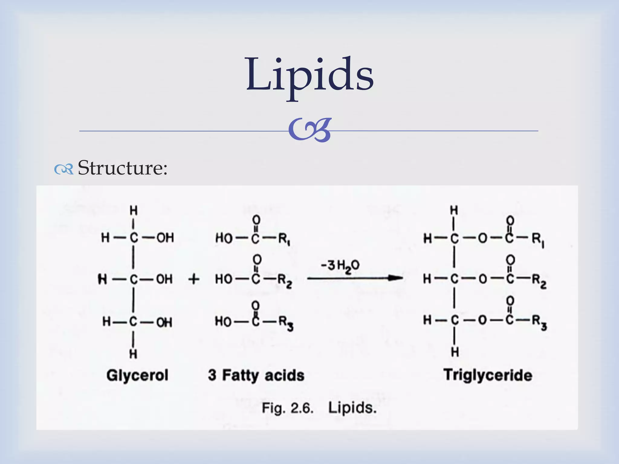 Lipids: Fats and Oils | PPTX