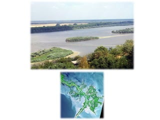 Spoljasnje sile 1 | PPT