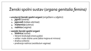 Spolni sustav | PDF