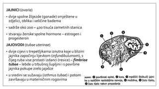 Spolni sustav | PDF