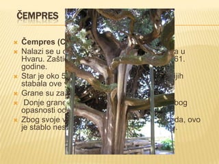 Spomenici prirode prezzz | PPT