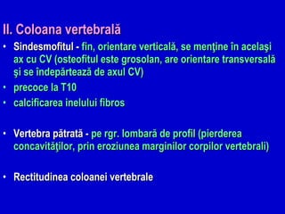 Spondilita anchilozanta | PPT