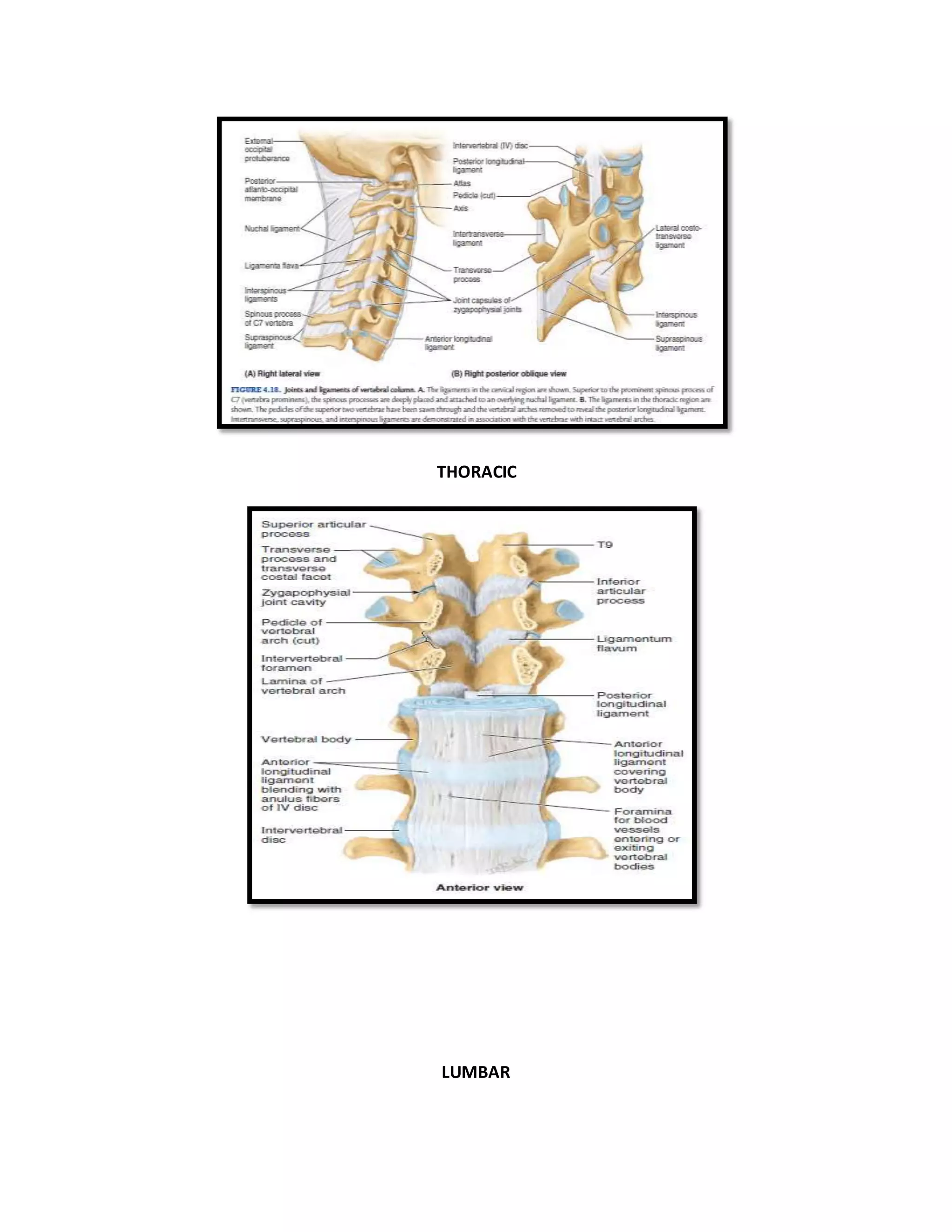 Spondilitis tb | DOCX