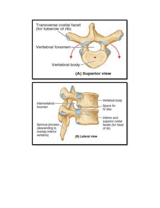 Spondilitis tb | DOCX
