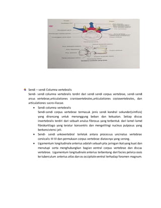 Spondilitis tb | DOCX