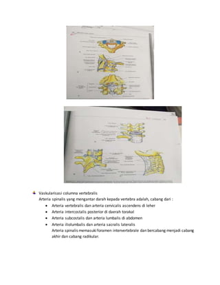 Spondilitis tb | DOCX