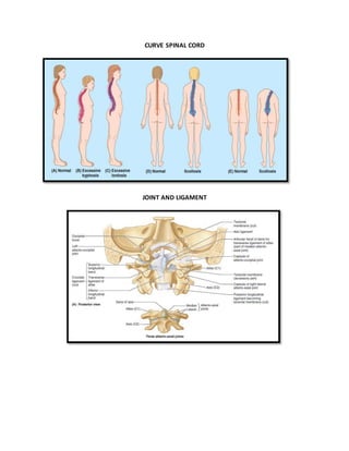 Spondilitis tb | DOCX