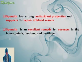 Spondin ppt | PPTX