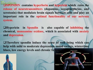 Spondin ppt | PPTX