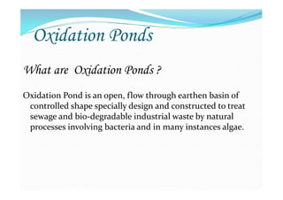 ponds and lagoons | PDF