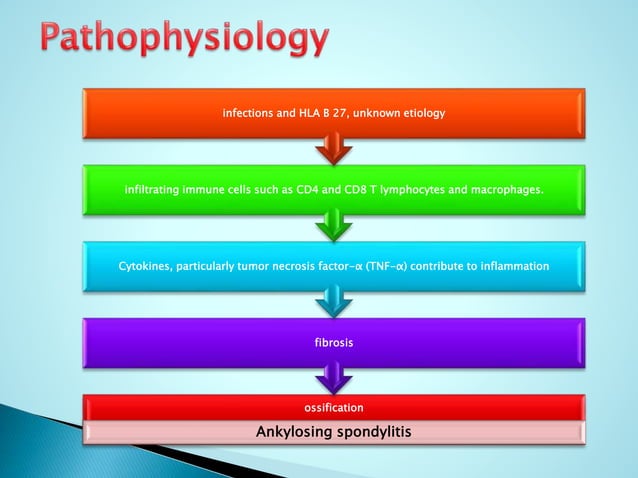 Ankylosing Spondylitis PPT pharmacotherapeutics II | PPTX