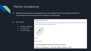 spondylolisthesis.pptx