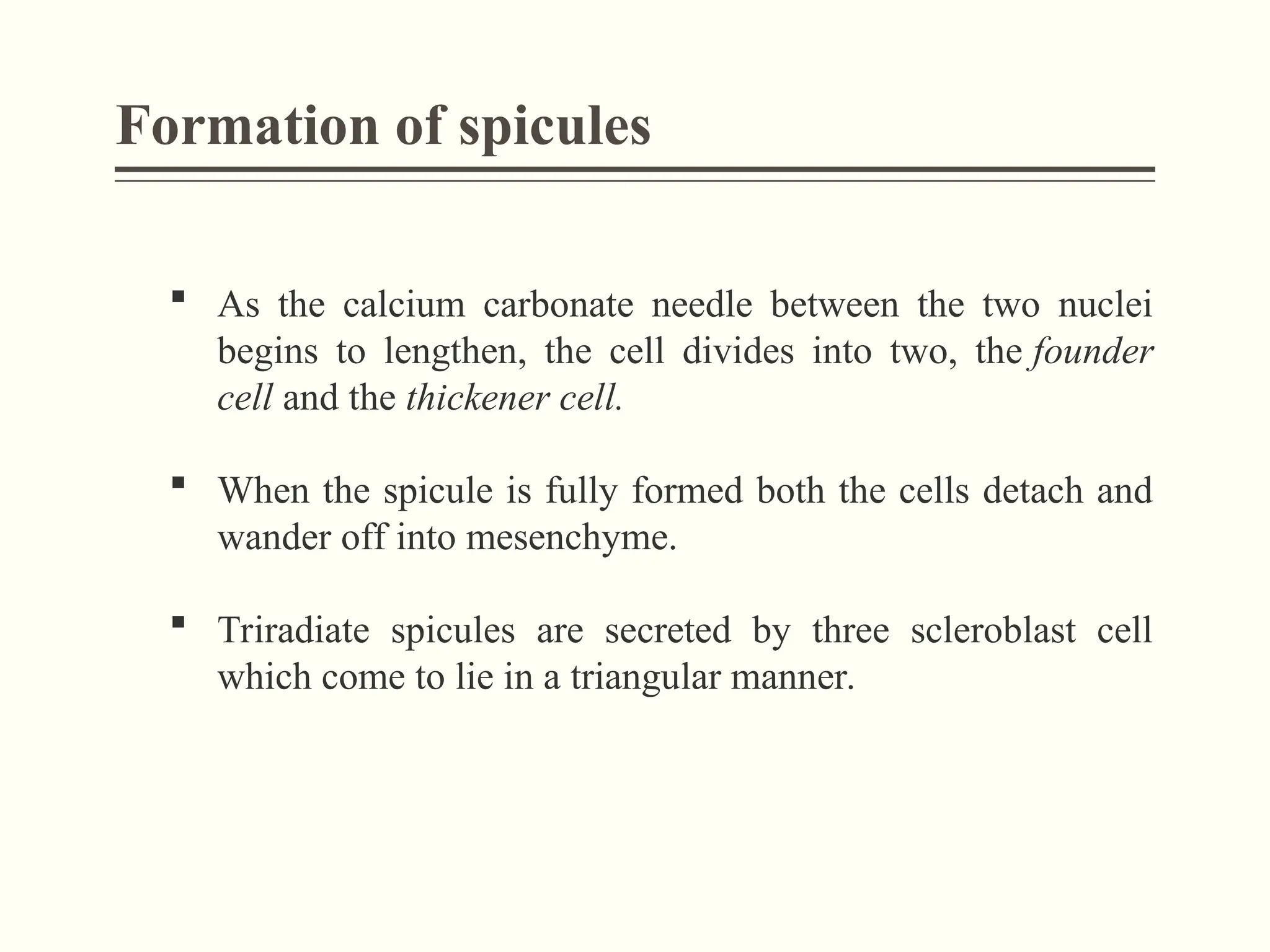 SPONGE poriferans@phylumporiferaprokaryotes.ppt