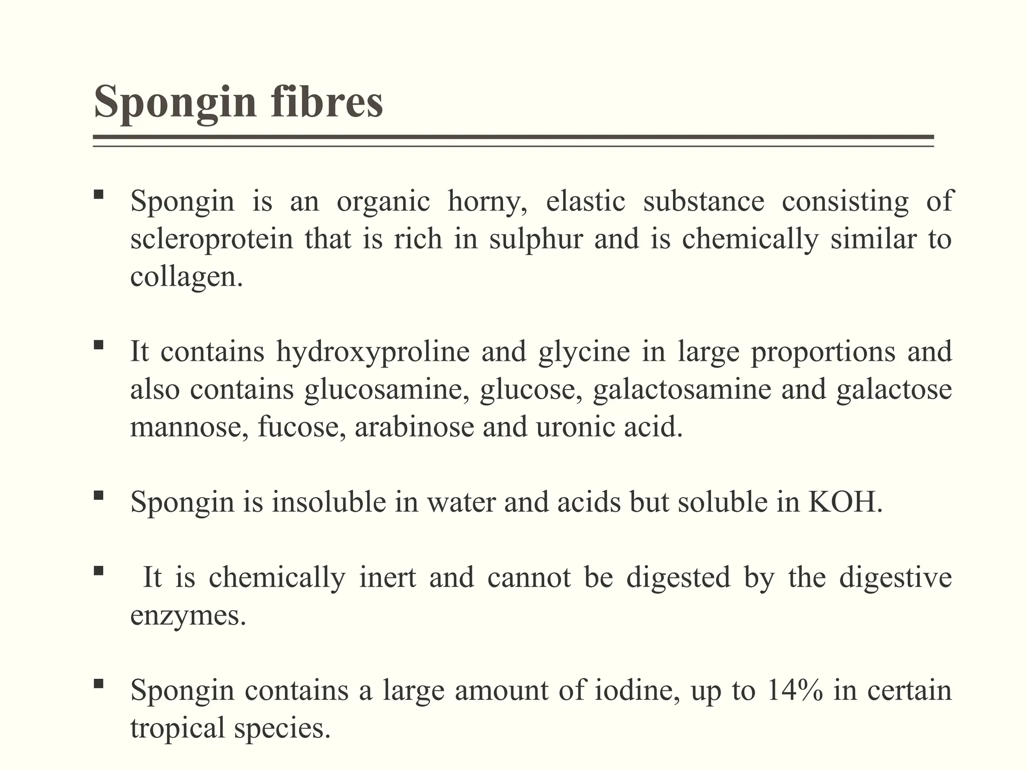 SPONGE poriferans@phylumporiferaprokaryotes.ppt