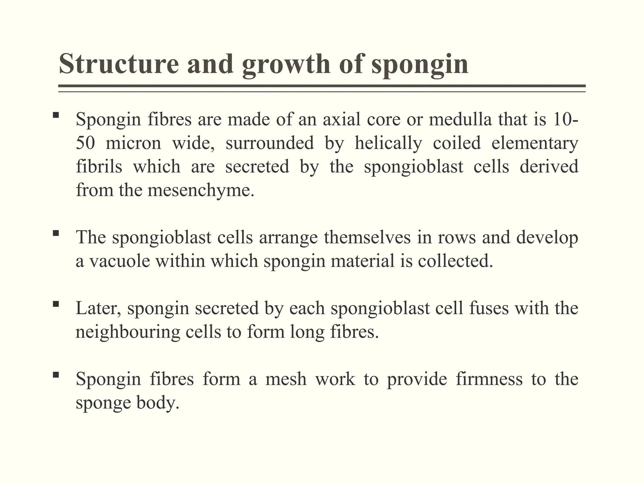 SPONGE poriferans@phylumporiferaprokaryotes.ppt