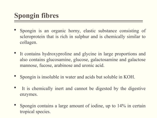 SPONGE poriferans@phylumporiferaprokaryotes.ppt