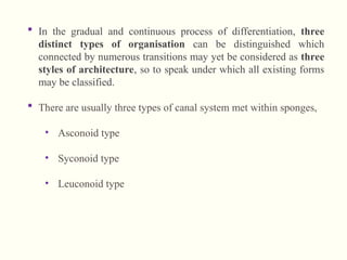 SPONGE poriferans@phylumporiferaprokaryotes.ppt