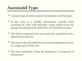 SPONGE poriferans@phylumporiferaprokaryotes.ppt