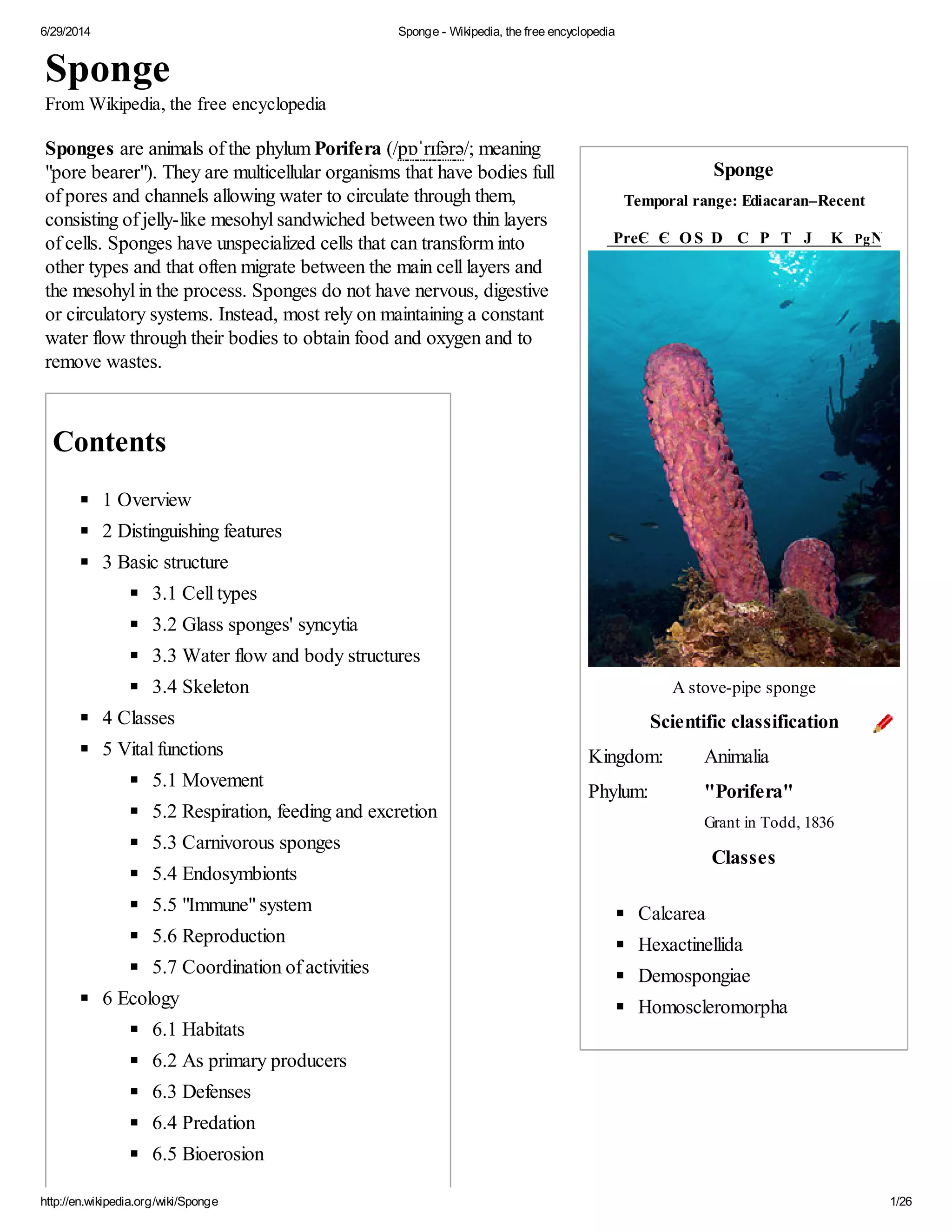Sponge | PDF