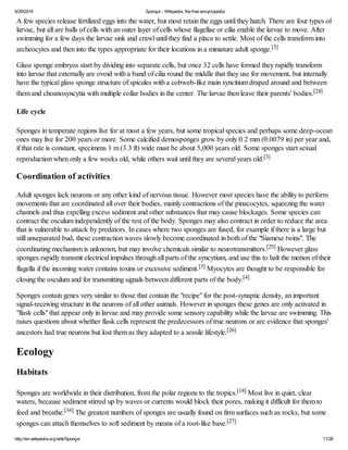 Sponge | PDF
