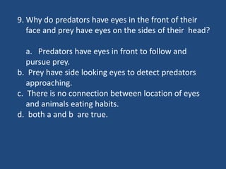 Animal adaptations (worksheet 1) | PPTX