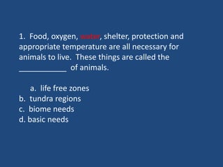 Animal adaptations (worksheet 1) | PPTX