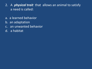 Animal adaptations (worksheet 1) | PPTX
