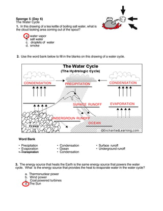 Water cycle (worksheet(s) ...answers) | PDF