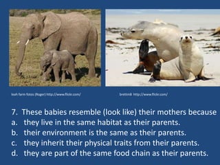 Heredity and environment (worksheet 1) | PPTX