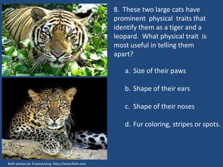 Heredity and environment (worksheet 1) | PPTX