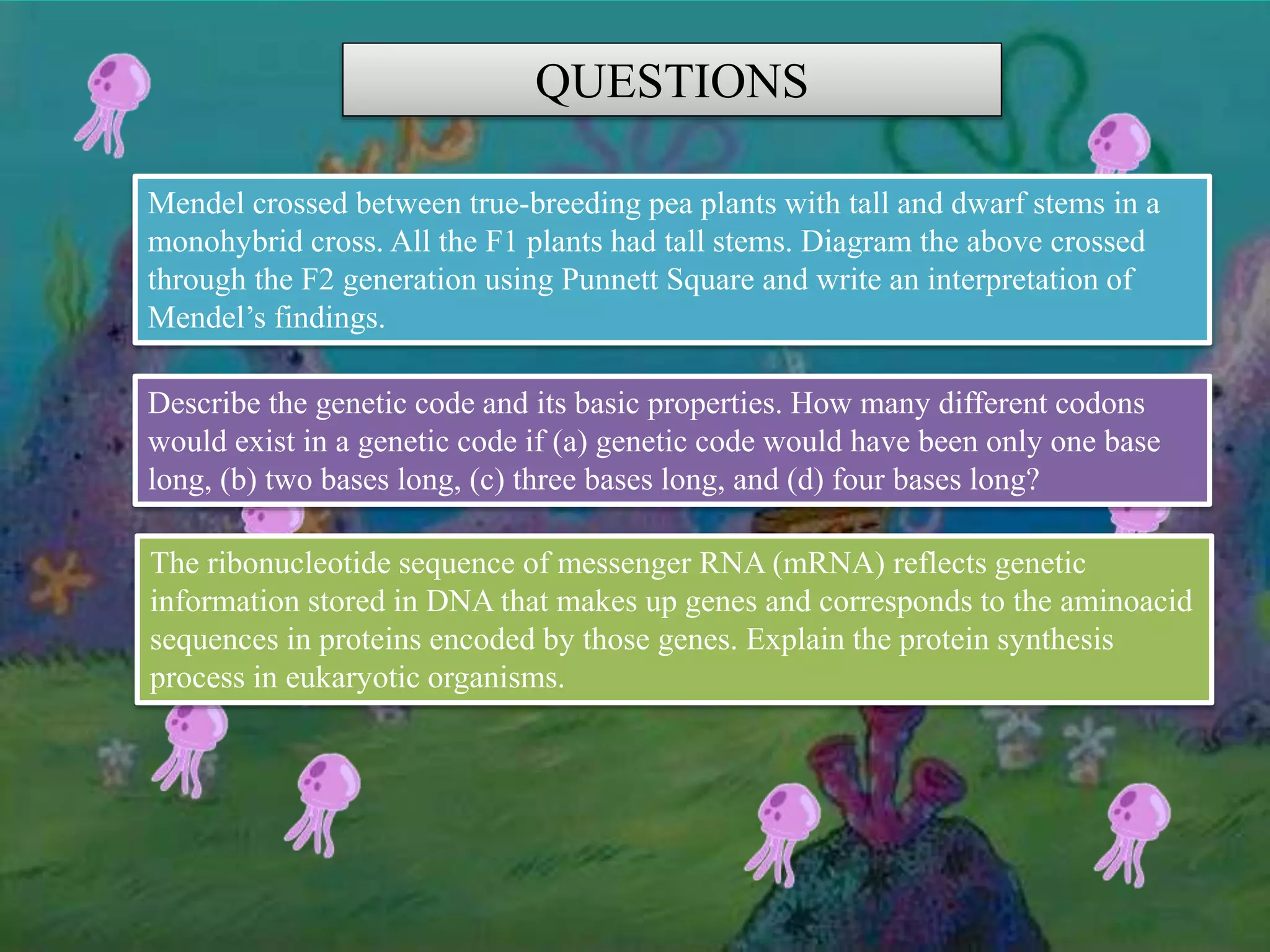 spongebob presentation.pptx